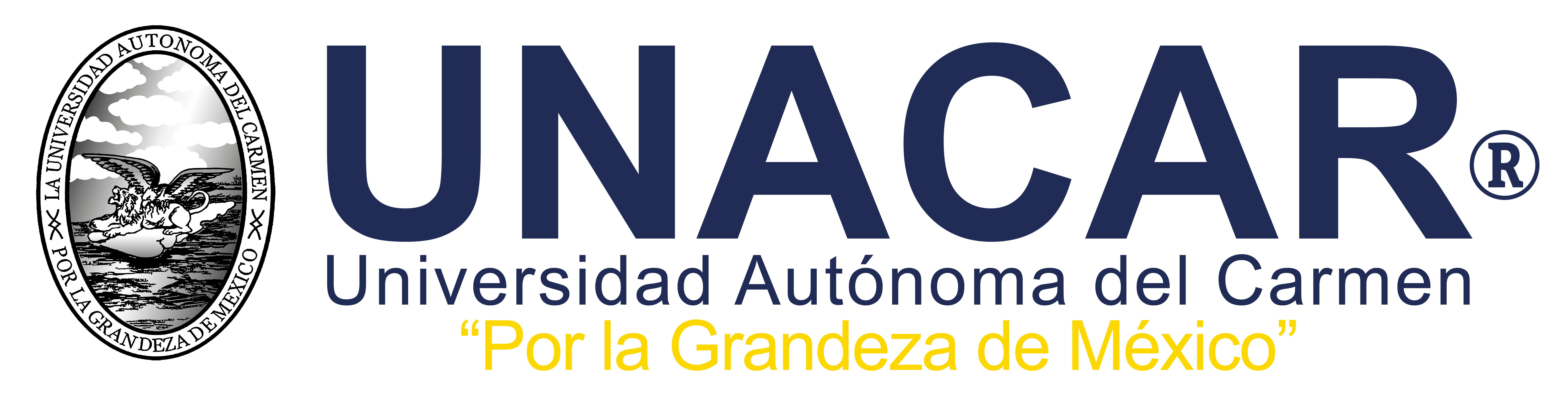 Informe de Actividades
